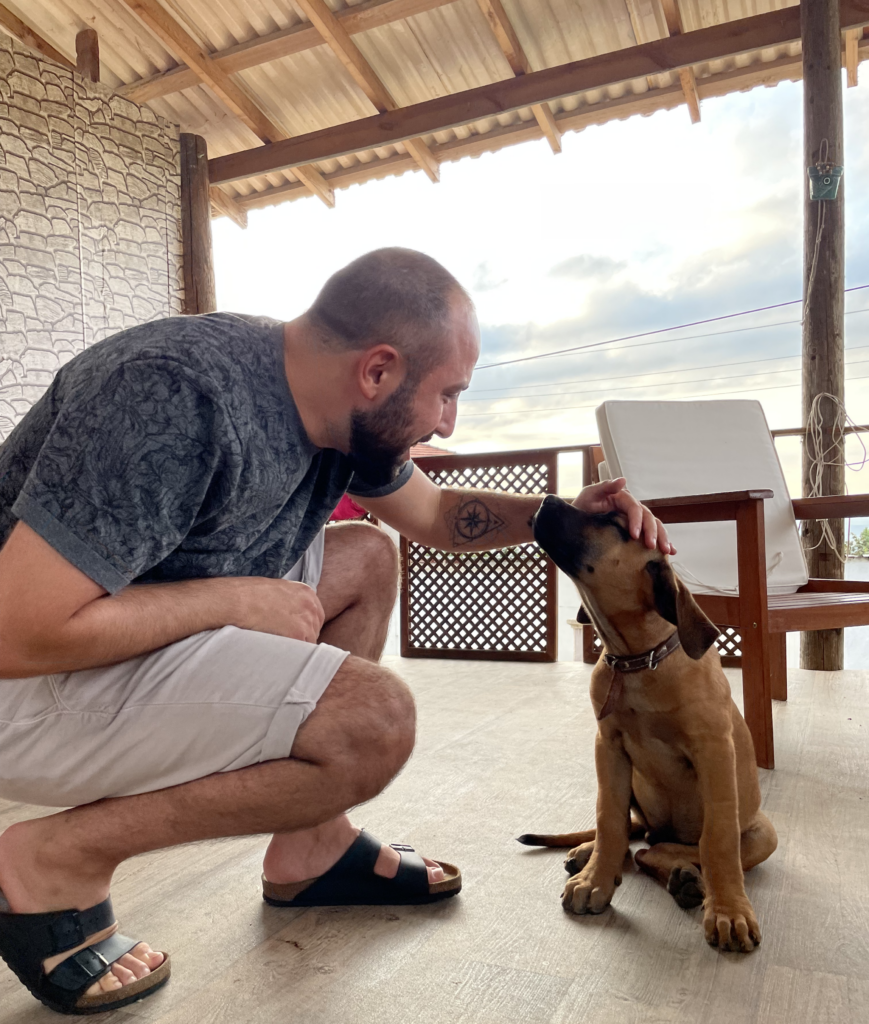 Der Vorstand – Shira Animal Help